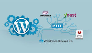Wordpress Website Development Company | Website Development